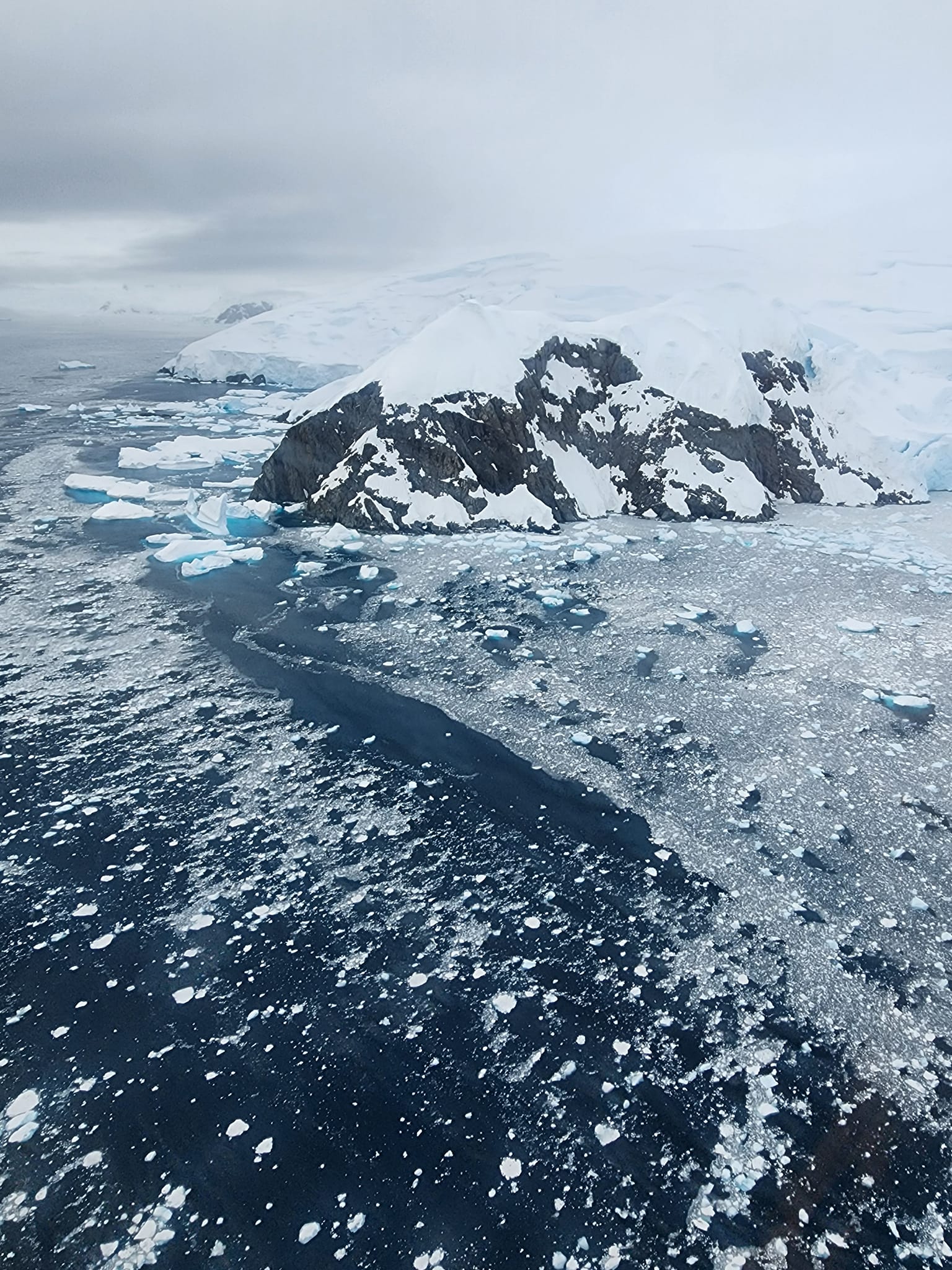 Antarctica with Quark Ultramarine Review | Flight of the Educator